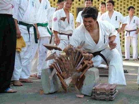 School Of Martial Art