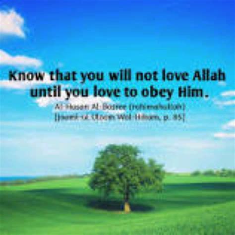 Muhmmad Anees Adrees Posted On Linkedin