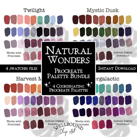 Procreate Color Palette Bundle Sky Colors Galaxy Colors Color Swatches IPad Procreate Tools