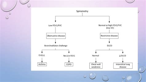 Obstructive And Restrictive Of Lung Disease Pptx Lung And Respiratory Health Diseases And