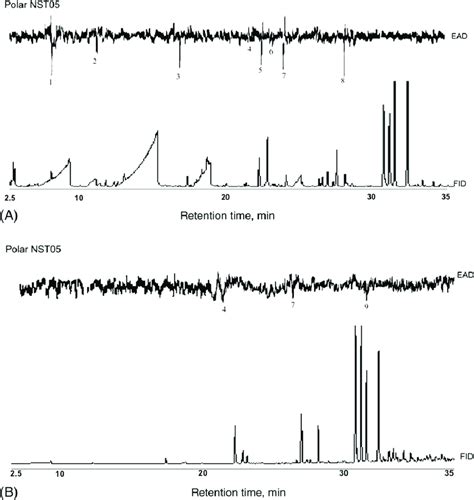 Gas Chromatography Electroantennogram Eag Analysis Using The Antennae Download Scientific