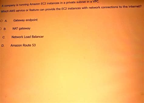 A Company Is Running Amazon Ec2 Instances In A Private Subnet In A Vpc