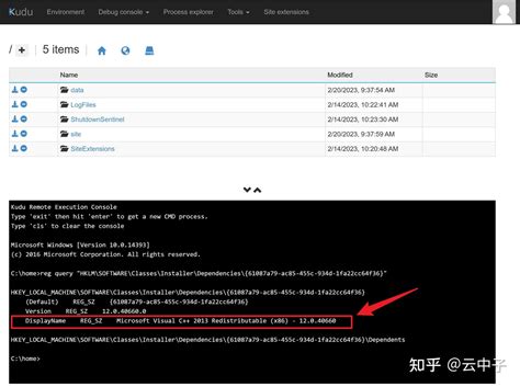 【azure 应用服务】azure App Servicewindows环境中如何让net应用调用sap Netweaver Rfc函数 知乎