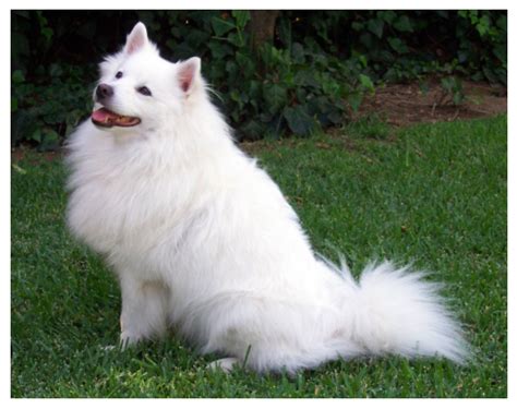 Accelerate PyTorch Models Using Torch Compile On AMD GPUs With ROCm ROCm Blogs