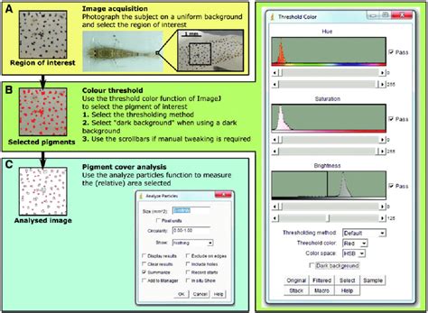 Protocol For Pic Measurements This Diagram Outlines The Steps To Be