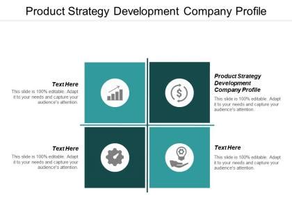 Product Strategy Development Company Profile Ppt Powerpoint ...