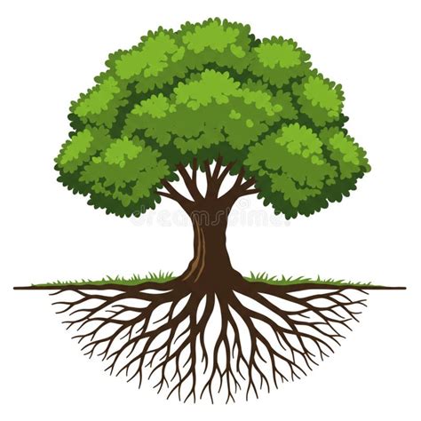 Illustration Of A Tree With A Lush Green Canopy And Detailed Root System Stock Illustration
