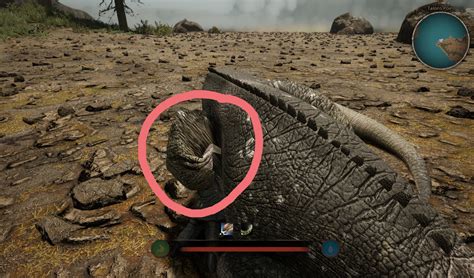 Broken Campto Model During Sleep · Issue 7648 · Alderon Gamespathoftitans Bugs · Github