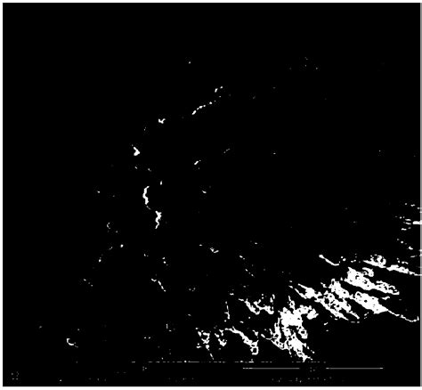 Biomimetic Preparation Method Of Strontium Carbonate Crystal Eureka Patsnap