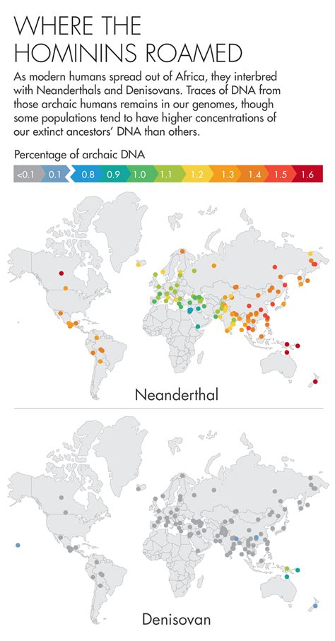 Neanderthal Dna Map