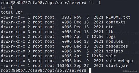 Log4j2远程代码执行漏洞原理与漏洞复现（基于vulhub，保姆级的详细教程）log4j漏洞复现 Csdn博客