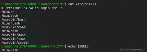 使用oh my zsh美化linux终端（wsl ubuntu）（二） wsl美化 csdn博客