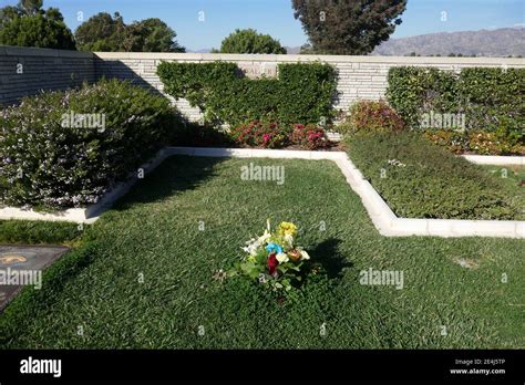 Paul Walker Forest Lawn