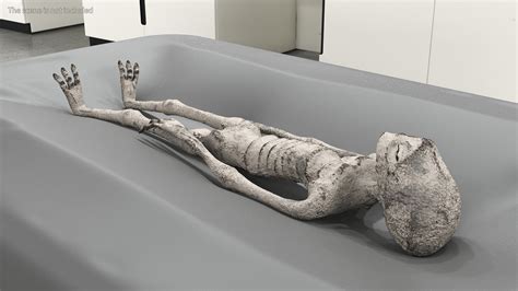 Tiny Mummy Alien Appearance Alien Tiny Mummy Vyjsbi