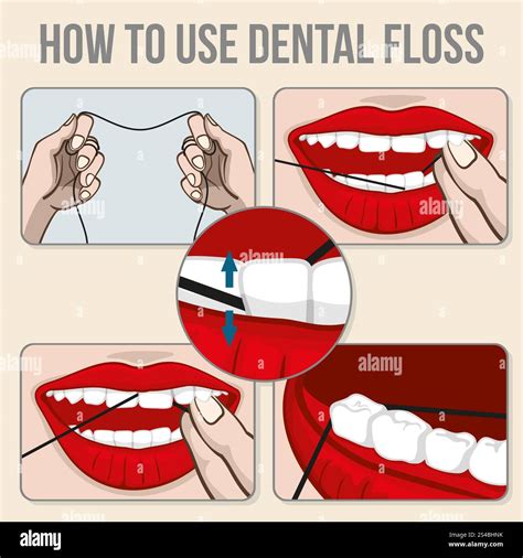 Flossing Teeth Vector Infographics Flossing Teeth Vector Infographics Hygiene Flossing Tooth