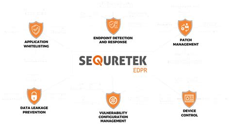 Endpoint Protection Software Sequretek Edpr At ₹ 1500 Data Security
