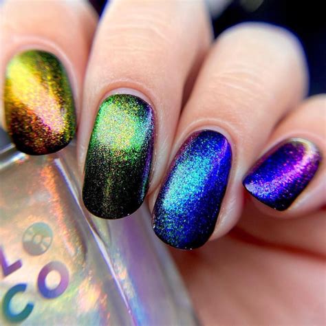 all products holo taco