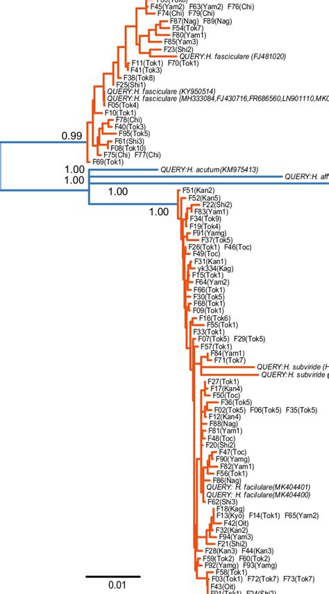 Results For The Integrated Analysis Of Evolutionary Placement Algorithm Download Scientific