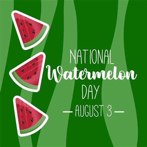 National Watermelon Day Card Or Background Vector Illustration Funny
