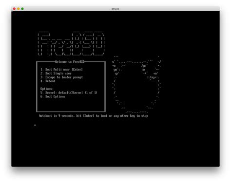 First Time Trying To Setup A Freebsd Guest In Freenas Vm Truenas