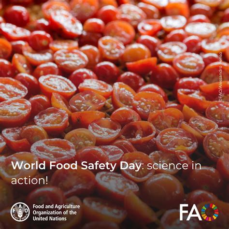 Foodsafety Rania Dusabe