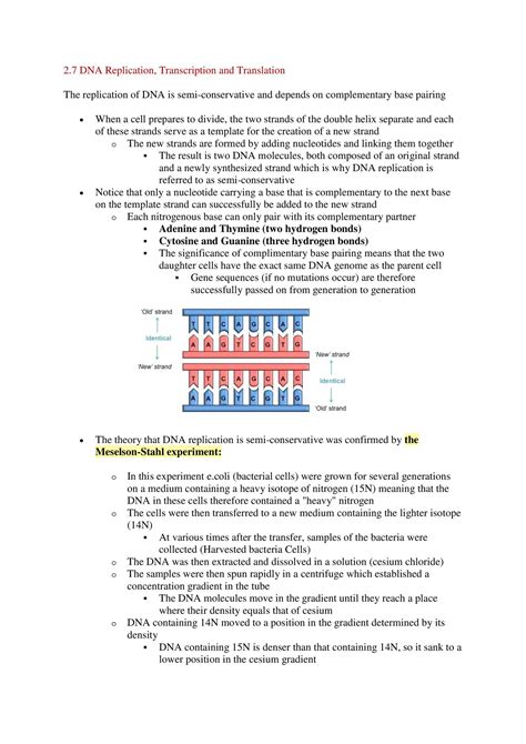 27 Dna Replication Transcription And Translationpdf Docdroid