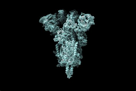 Machine Learning Model Helps Determine Protein Structures Mit News