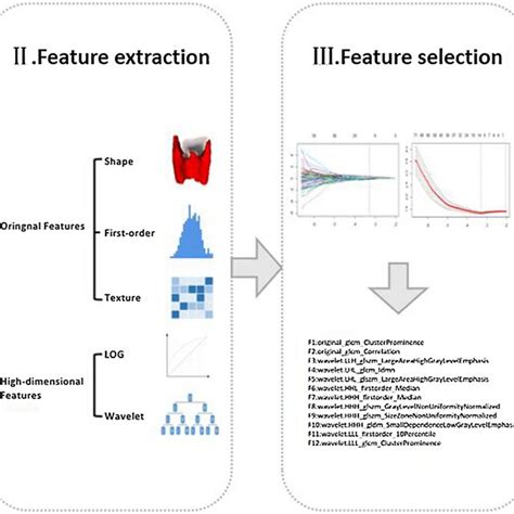 Lasso Regression For Risk Factors For Cervical Lymph Node Metastasis In