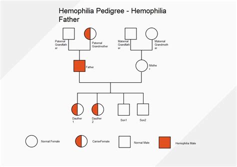 Best 13 Genogram Template Hemophilia Pedigree Hemophilia Father