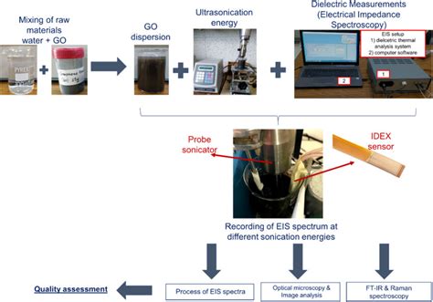 Schematic Representation Of The Experimental Procedure Download