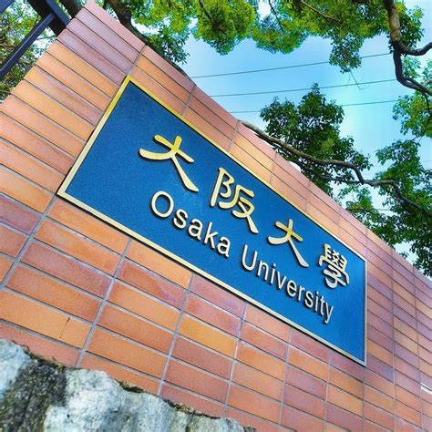 Qbsmscbloggers Wenjie Zhang