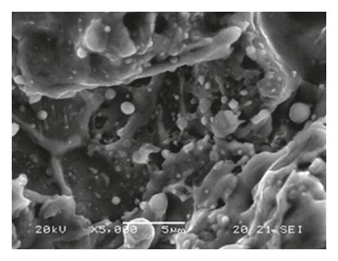 Sem Micrographs Of Nitinol Coatings Surface Of Samples A A B B C Download Scientific
