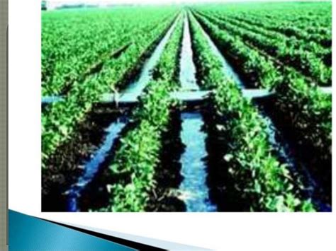 1 Surface Irrigation And Its Methods A Lecture By Mr Allah Dad Khan