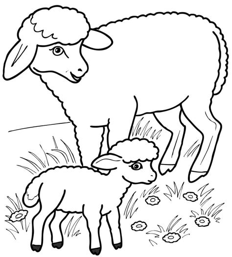 Раскраски Для Домашние Животные 67 фото