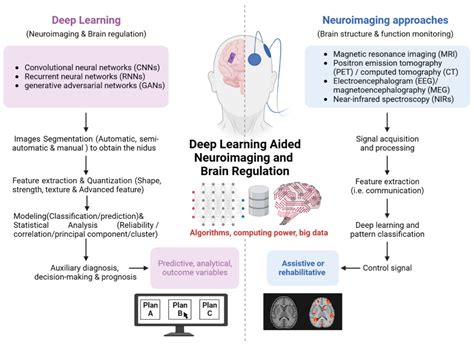 Deep Learning Aided Neuroimaging And Brain Regulation