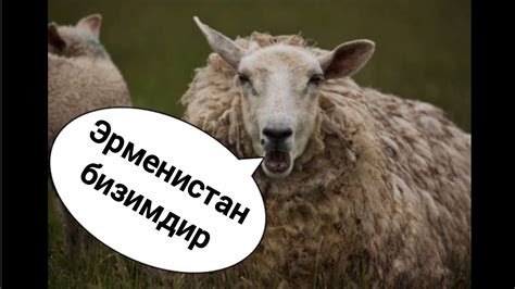 какое отношение имеют хай боша к армяном? - YouTube