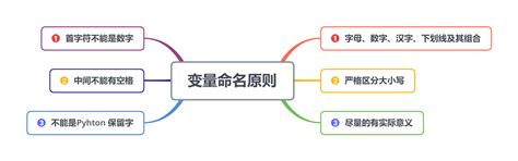 Python基础一 Python的基本语法 阿里云开发者社区