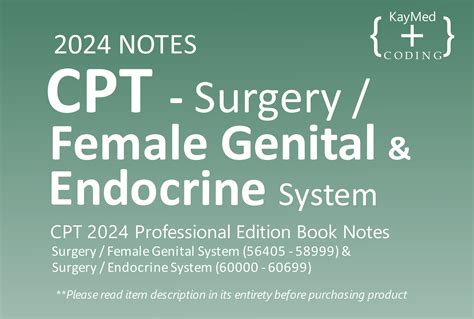 2024 Cpt Surgery The Female Genital And Endocrine System Cpt Book Notes Etsy
