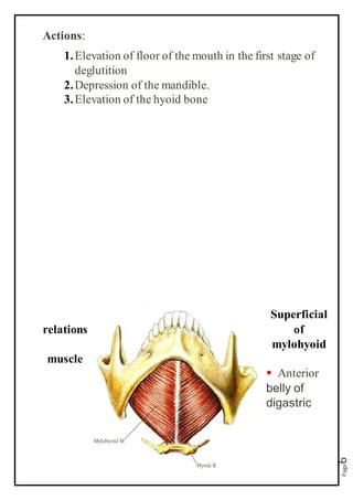 Suprahyoid Muscles Mnemonic