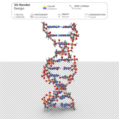 Premium Psd B Form Dna Structure 3d Modeling Psd File