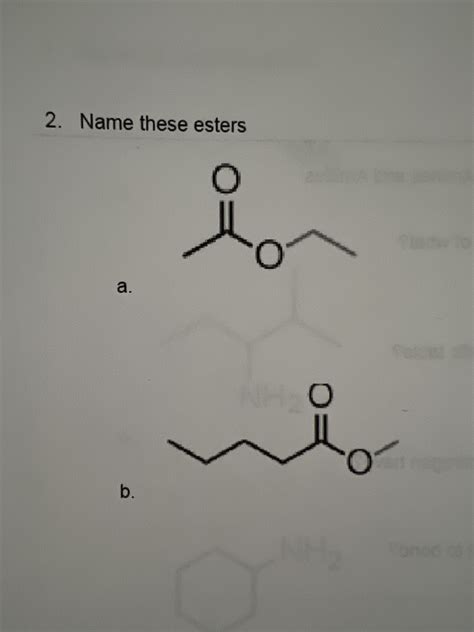 Solved Name These Esters Chegg Com