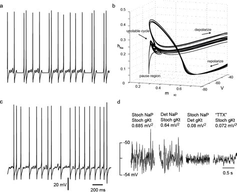 Irregular Firing In A Simple Biophysically Based Model A Download Scientific Diagram