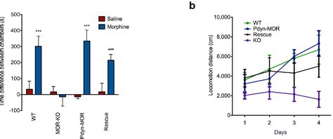 Figure 2 From Targeted Expression Of Mu Opioid Receptors In A Subset Of