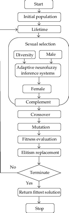 Framework Of Neurofuzzy Inference Systems Genetic Algorithm Download Scientific Diagram