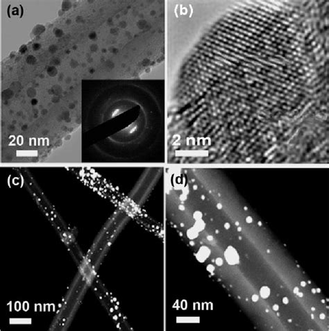 Figure 1 10 From Design And Development Of A Multifunctional Nano Carrier System For Imaging
