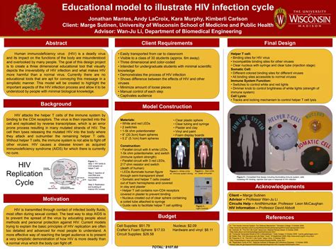 Educational Model To Illustrate Hiv Infection Cycle Ppt