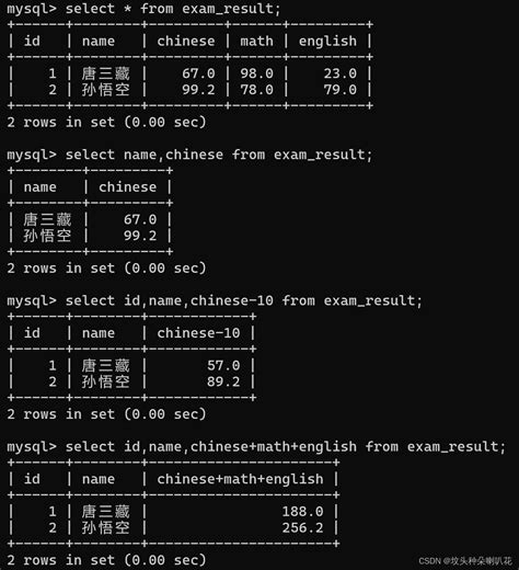 mysql基础教程：数据库操作、数据类型与crud详解 csdn博客