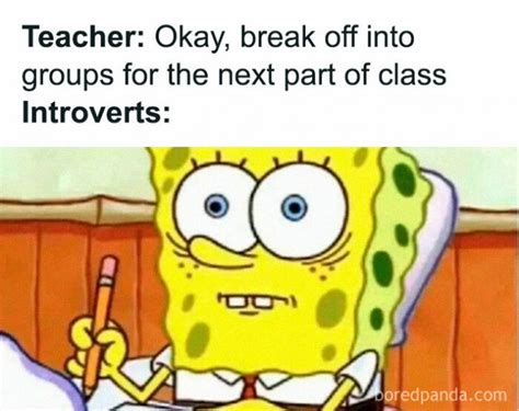 Memes To Send To Your Introvert Friends — Funny Pictures
