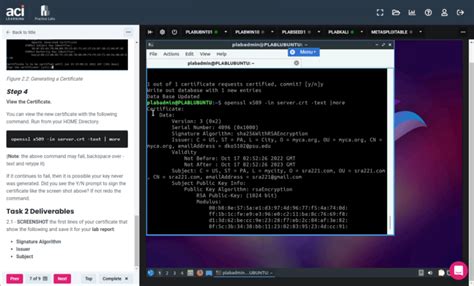 Certificates PKI And Apache Lab Assignment Dante Olmo