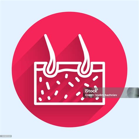 흰 선 긴 그림자로 격리된 피부 아이콘을 덮고 있는 머리카락 모낭 빨간색 원 버튼입니다 벡터 건강 진단에 대한 스톡 벡터 아트